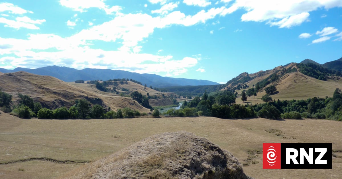 Construction price of proposed dam set | RNZ