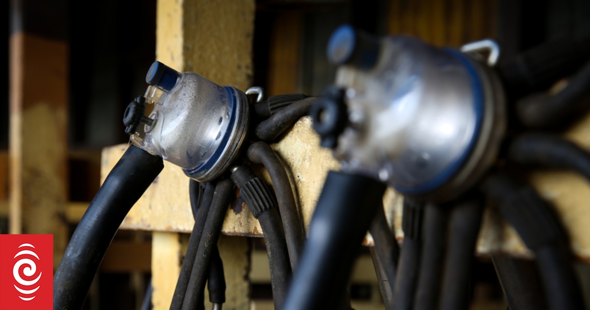 Farm gate milk price won't recover until mid-2016 - Westland | RNZ News