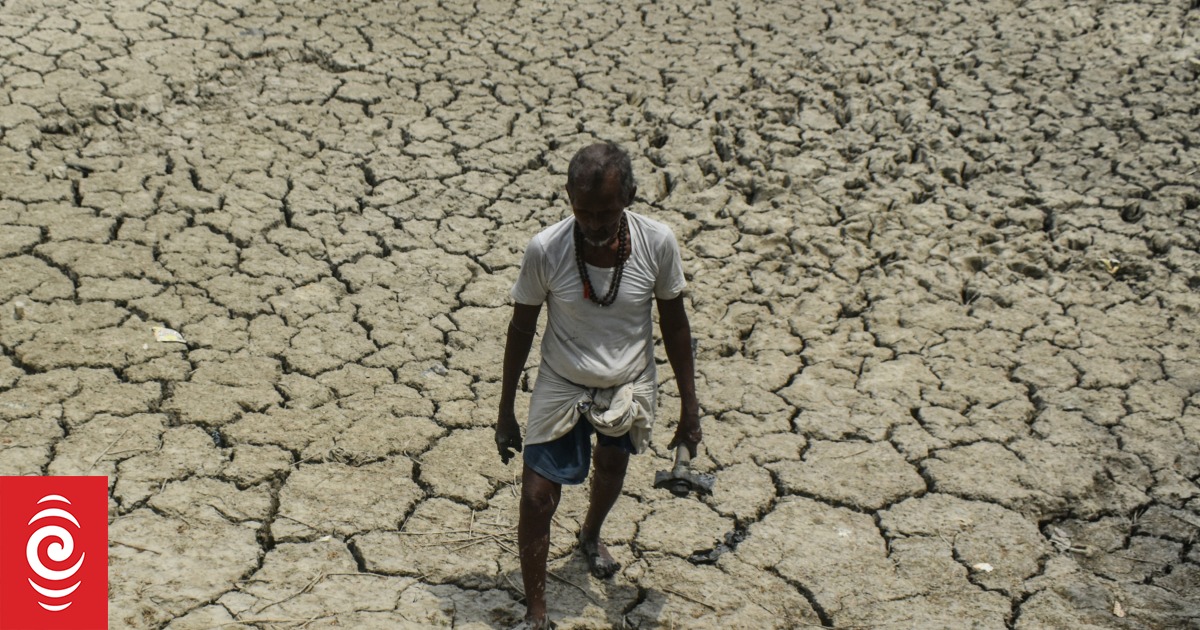 Explainer: How climate change is making the world sick | RNZ News