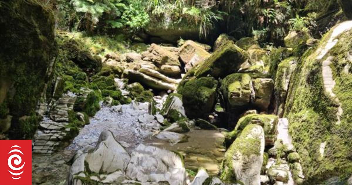 Remembering the Cave Creek victims on 30th anniversary | RNZ News