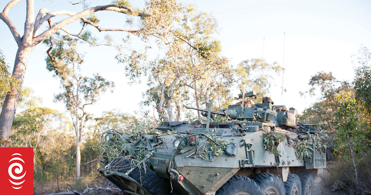 LAVs get special treatment during patient wait for buyer | RNZ News