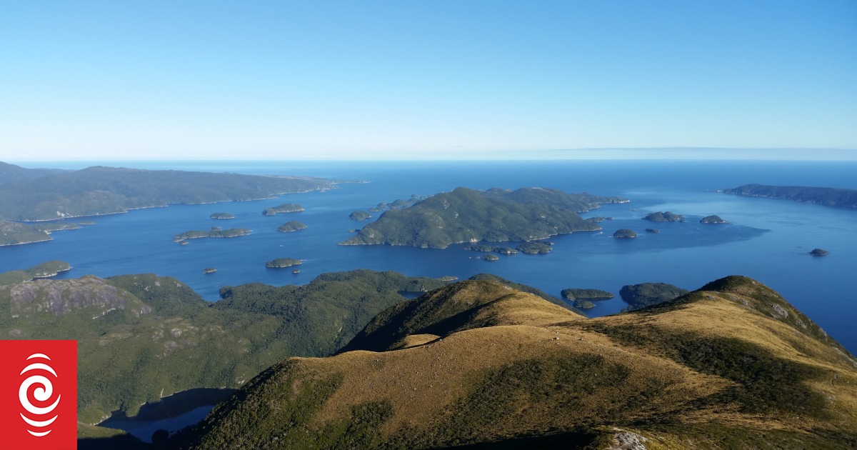 Stoat discovery threatens conservation efforts on previously predator ...