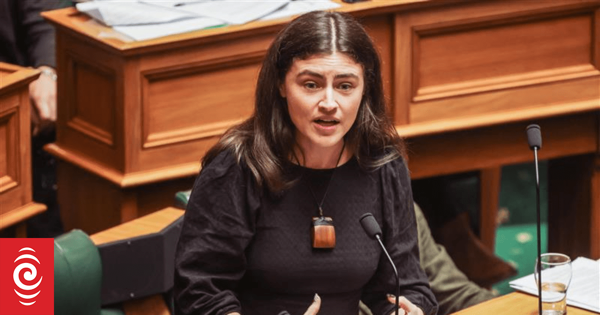 Green MP Chlöe Swarbrick has no plans to apologise after being barred ...