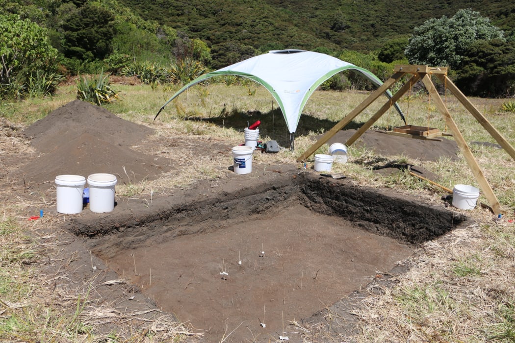 Moturua Island archaeological dig unearths tools, structures | RNZ News