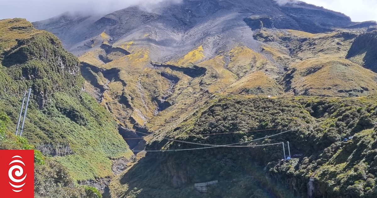 Bridge masts tower over gorge on Taranaki Maunga | RNZ
