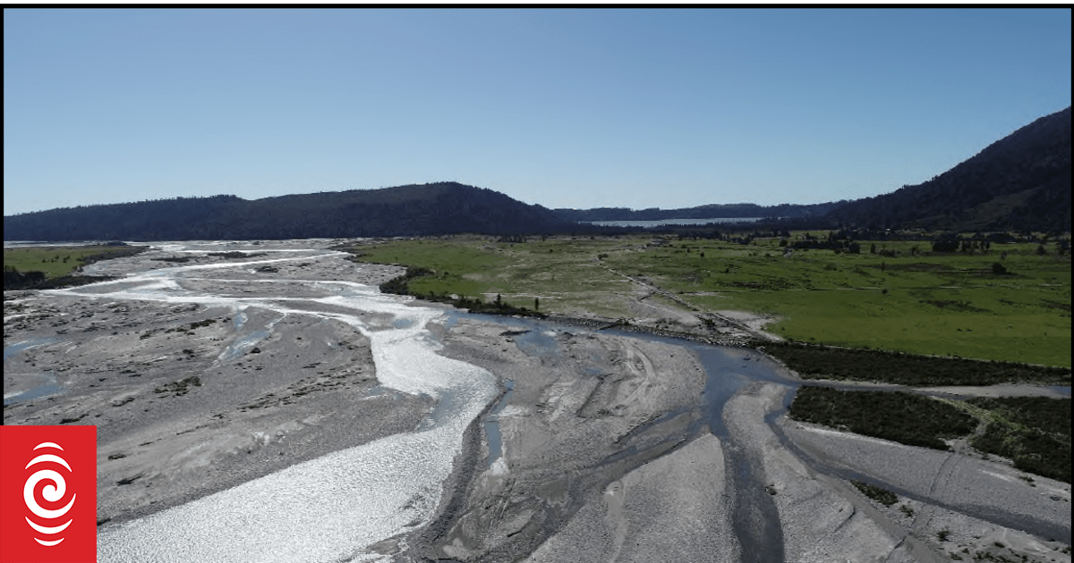 Farmers hopeful for cattle river grazing renewals | RNZ News
