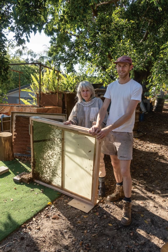 Photographer Anne Noble has a thing about bees | RNZ