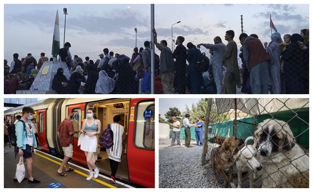 UK correspondent Philip Webster | RNZ