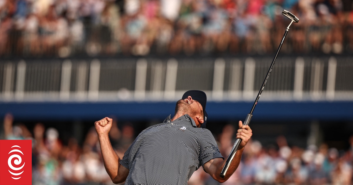 Bryson DeChambeau outlasts Rory McIlroy to win US Open | RNZ News