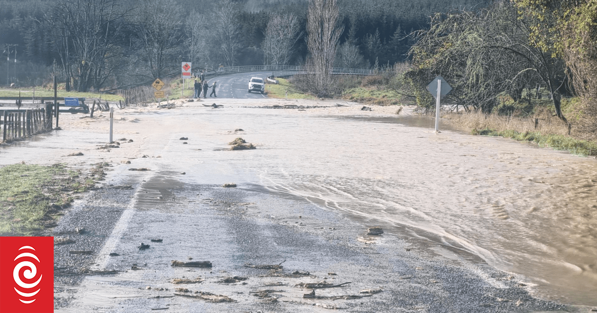 Person dies after reportedly being hit by tree while clearing flood damage south of Nelson | RNZ ...