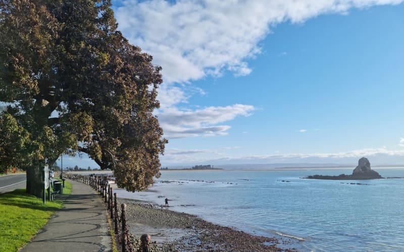 Tourism Export Council conference attracts 270 tour operators to Nelson ...