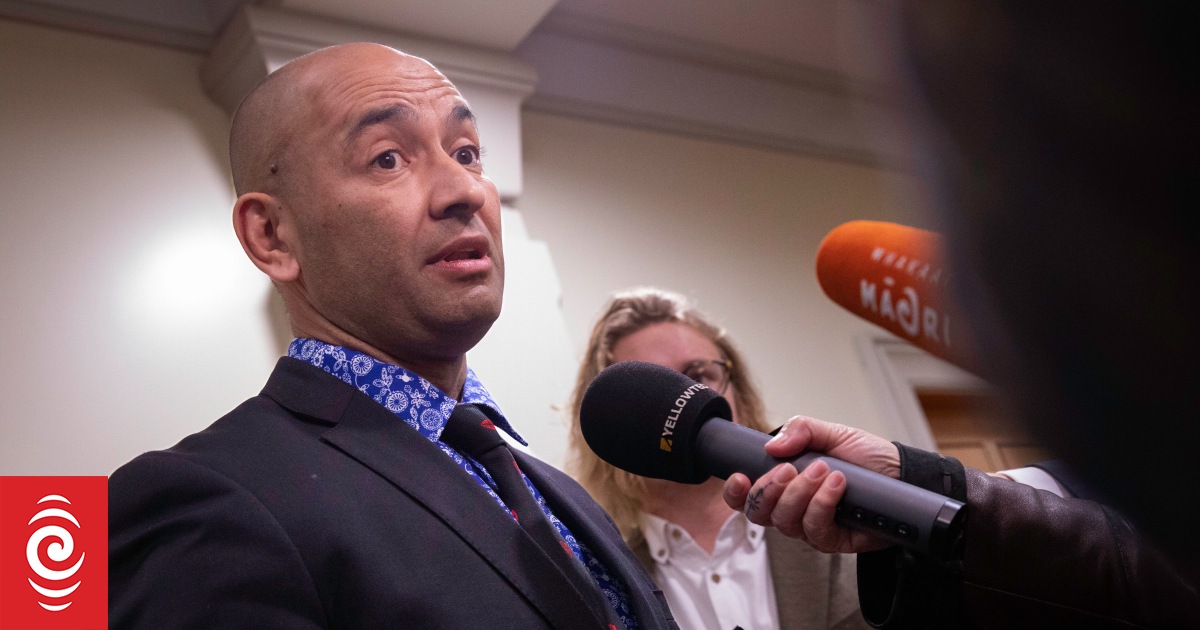 Māori Development Minister Tama Potaka on protests | RNZ