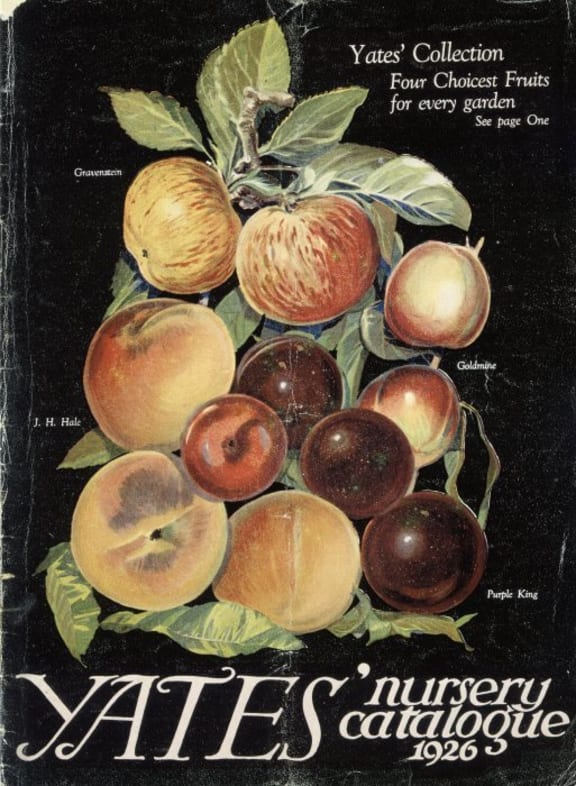 Sound Archives - Summer Fruit | A Gallery from Afternoons | RNZ National