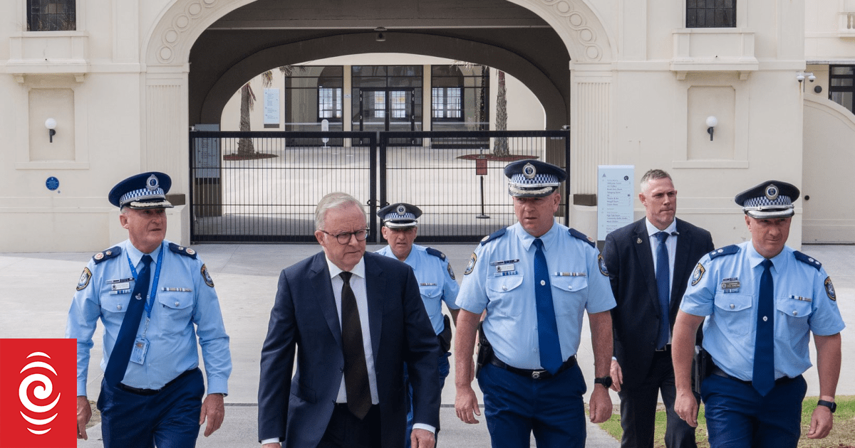 Australian PM Anthony Albanese announces national gun buyback after ...