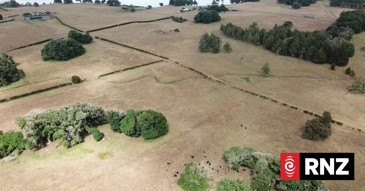 Far North locals feel let down during drought, but council working hard ...