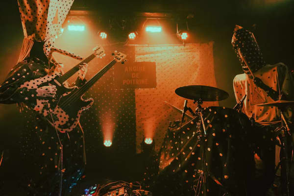 'Absolute madness' - How costume rock duo Angine de Poitrine are ...