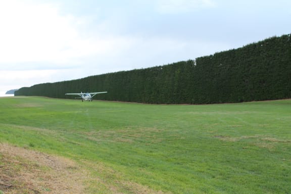 First pick avocados are here | RNZ