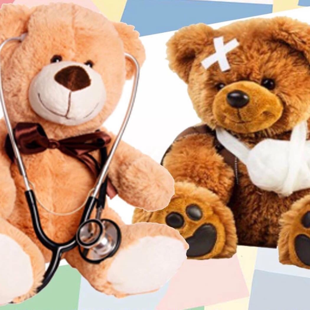 Teddy Bear Hospital events to check teddy health. | RNZ