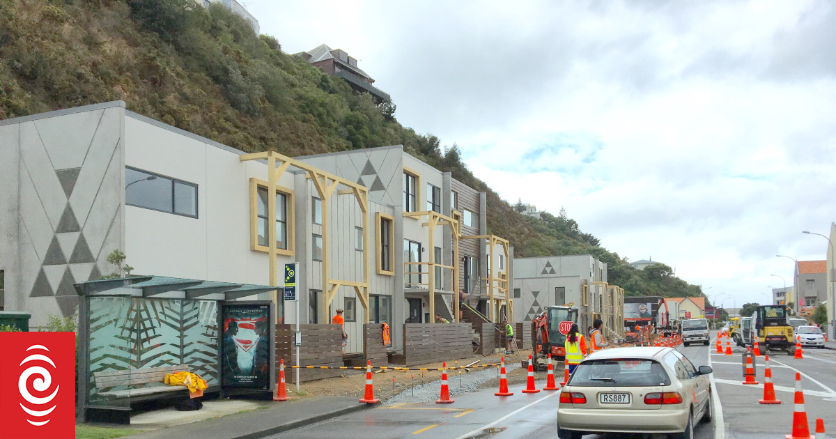 Iwi opens affordable housing complex | RNZ News