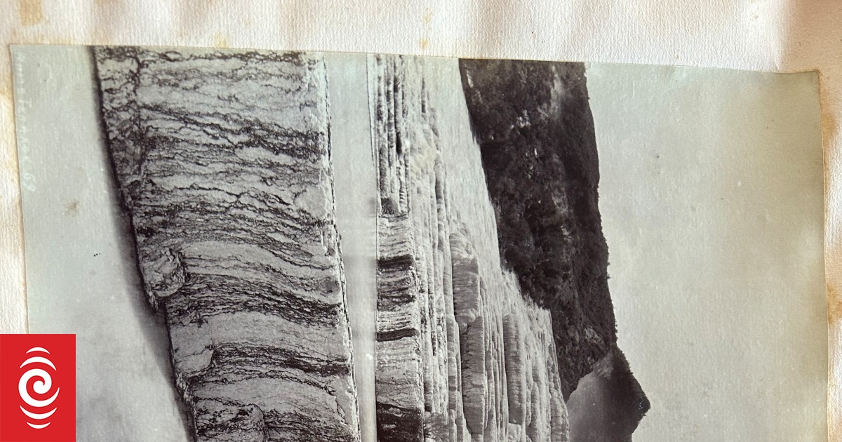 The Pre-Panel with Mary-Margaret Slack and Scott Campbell | RNZ