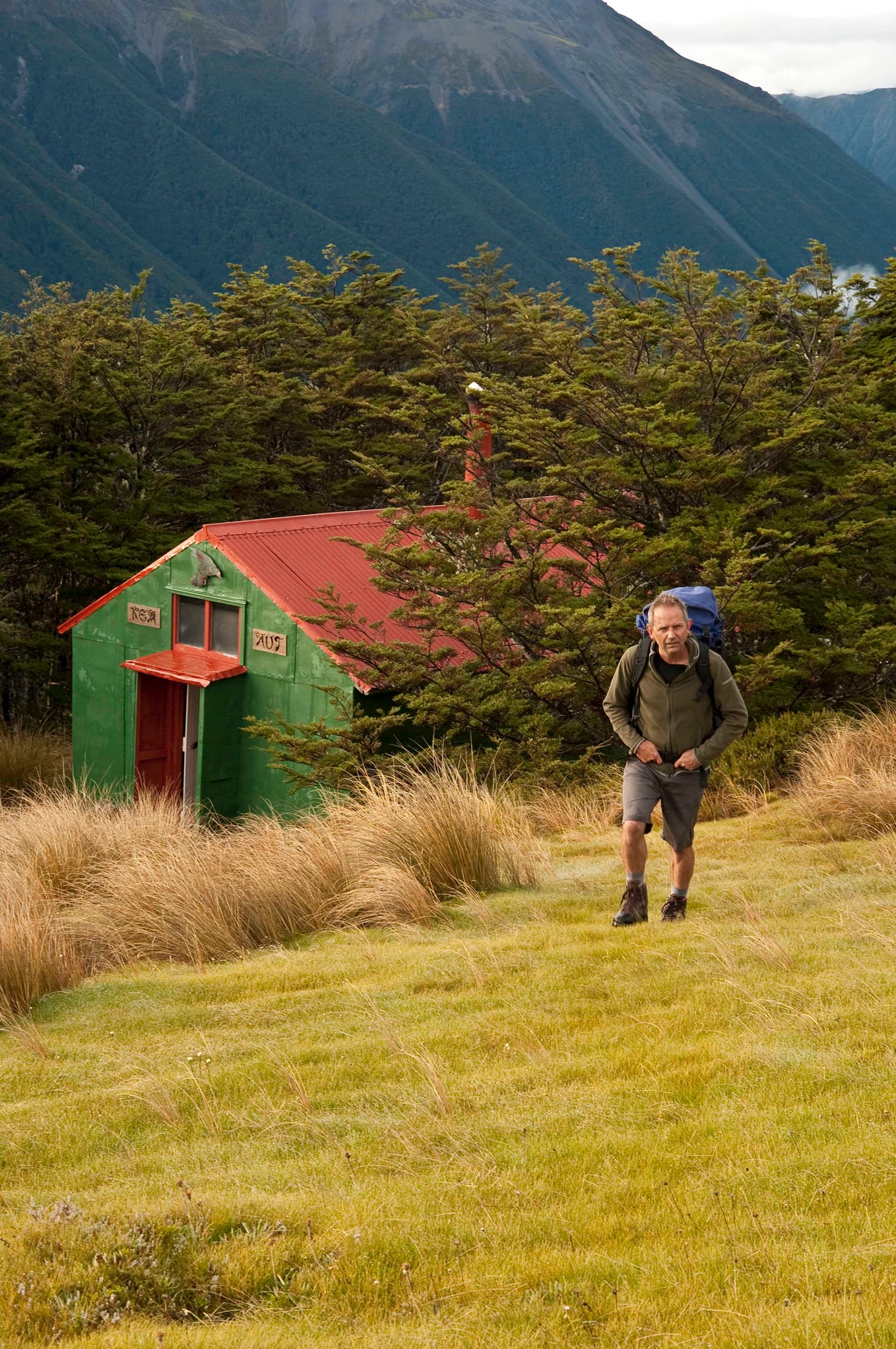 Bushline by Robbie Burton | A Gallery from Saturday Morning | RNZ National