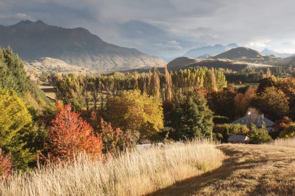 New Zealand's flourishing gardens and the women behind them | RNZ