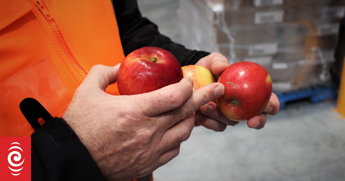 'Food insecurity likely to get worse': Charity network struggling to ...