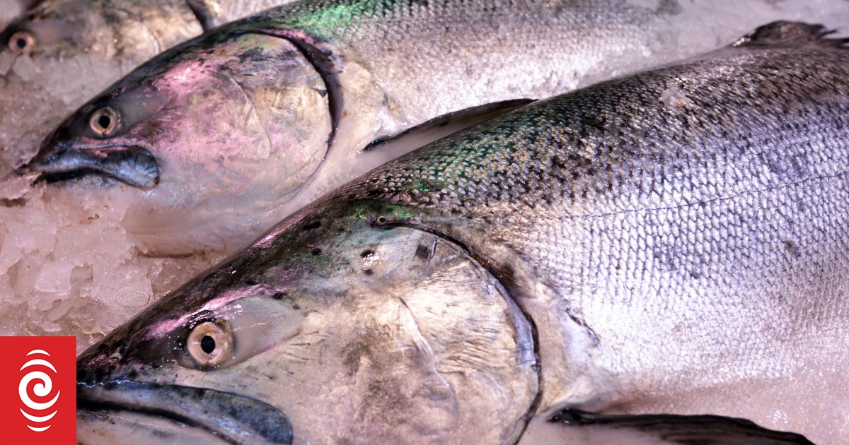 MPI prosecutions against fishers takes a dive | RNZ News