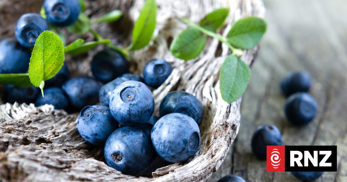 'Organic' labelling laws: Government aims for clear legal definition | RNZ