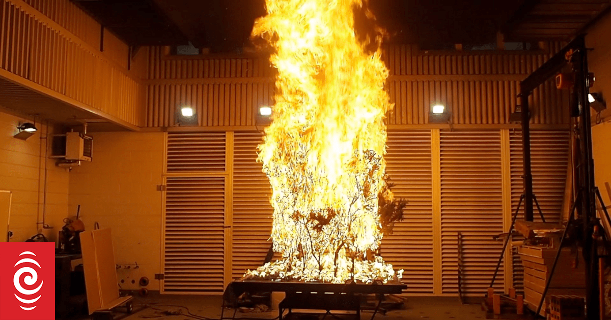 Our Changing World: Wildfire science heats up | RNZ News