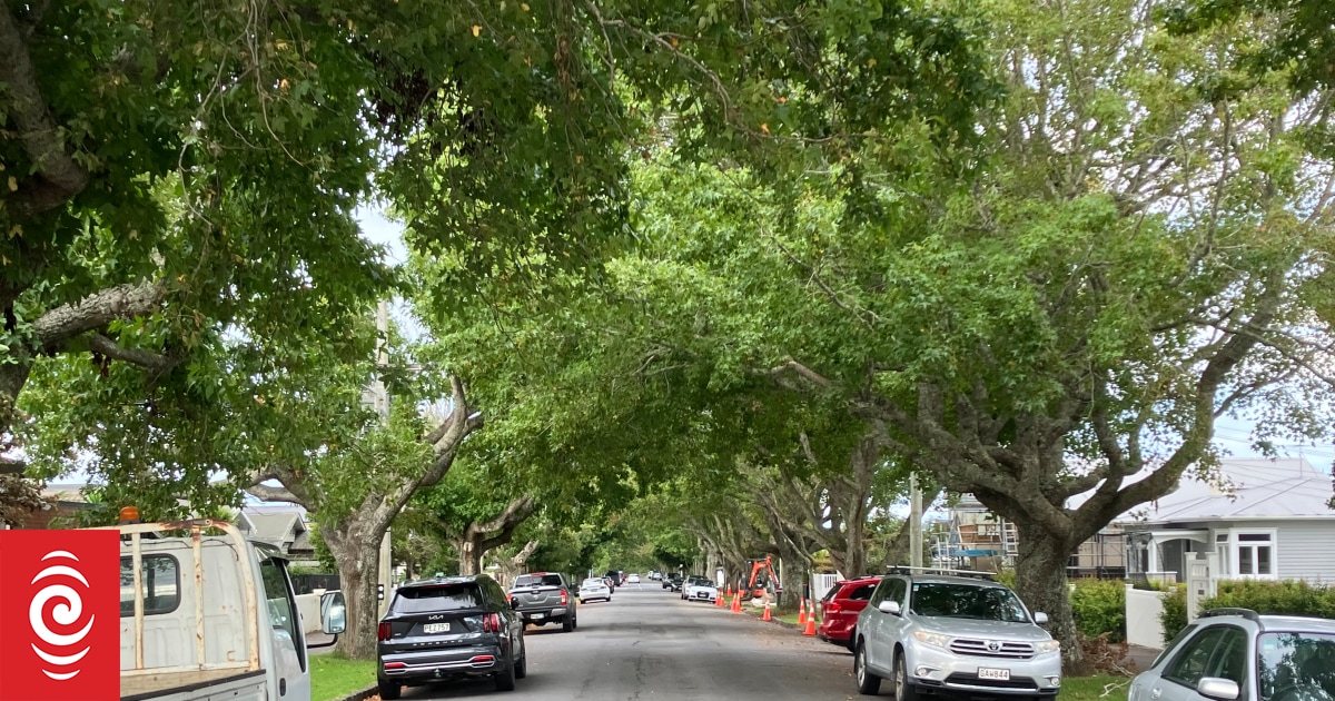 The Panel with Cindy Mitchener and David Cormack (Part Two) | RNZ