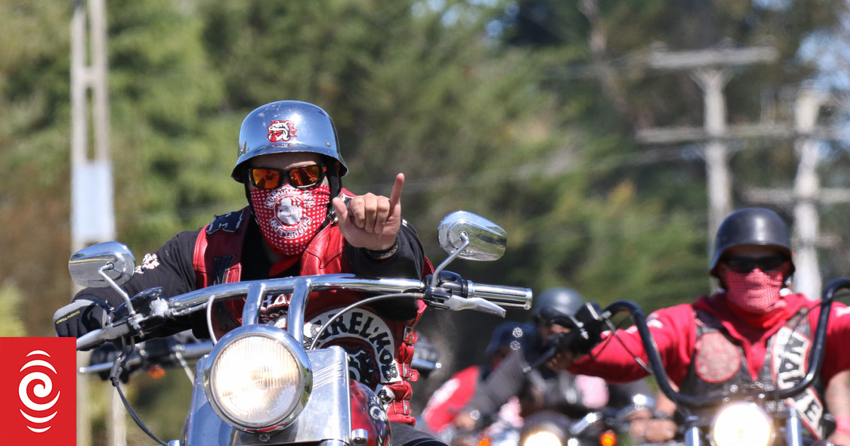 Covid-19: Mongrel Mob Waikato spokesperson not happy with gang ...