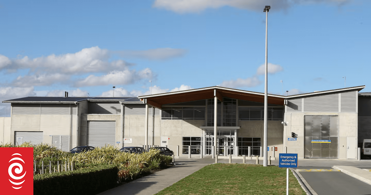 Former inmate robbed at gunpoint by former Spring Hill Prison buddies ...