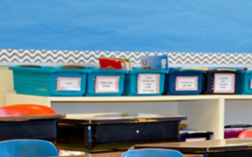 Schools commodifying' children - principal | RNZ