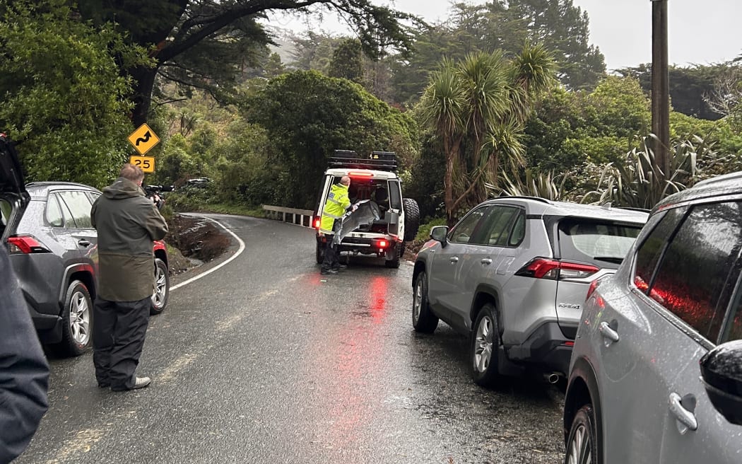 Body found in search for Philip Sutton, missing since Wellington storm ...