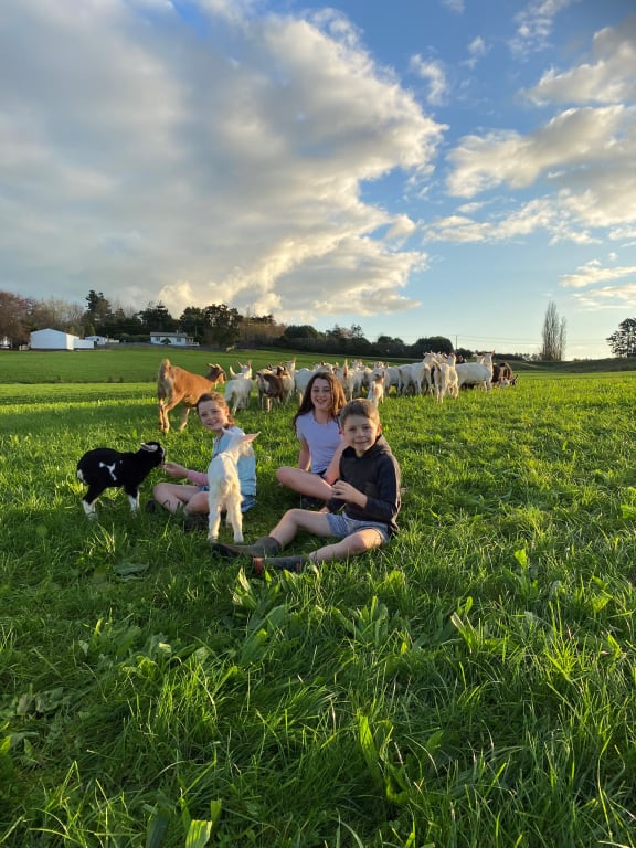 Oete Goat Farm | A Gallery from Nine To Noon | RNZ National