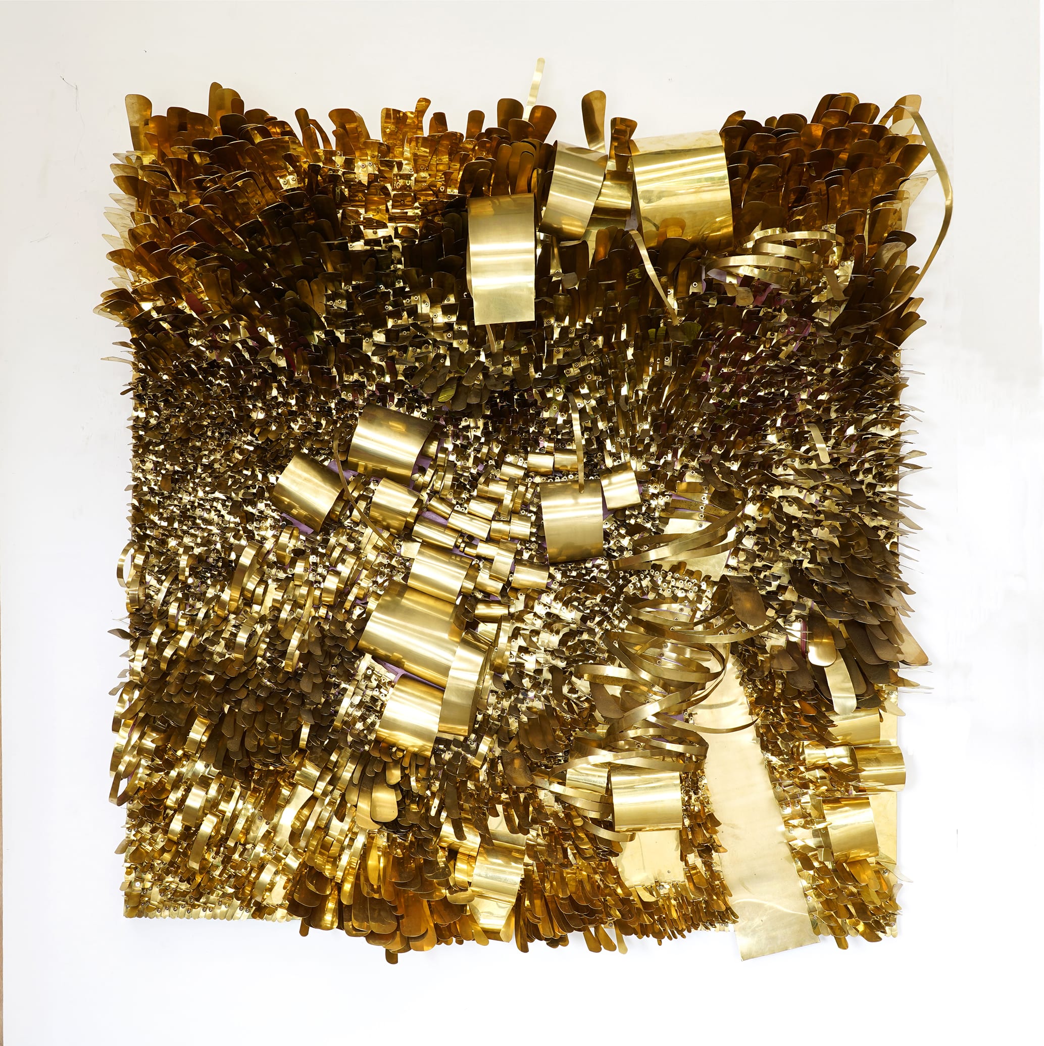 Sculptor Louise McRae shows how animals adapt to climate change | RNZ