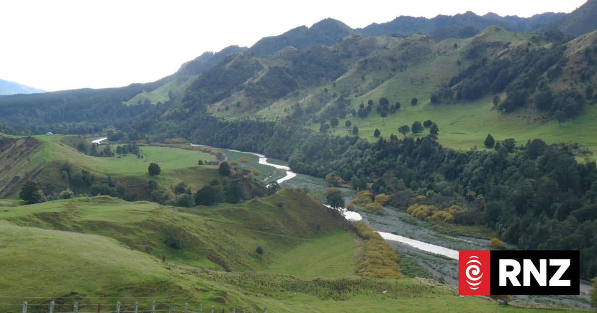 Govt urged to pull out of water scheme | RNZ