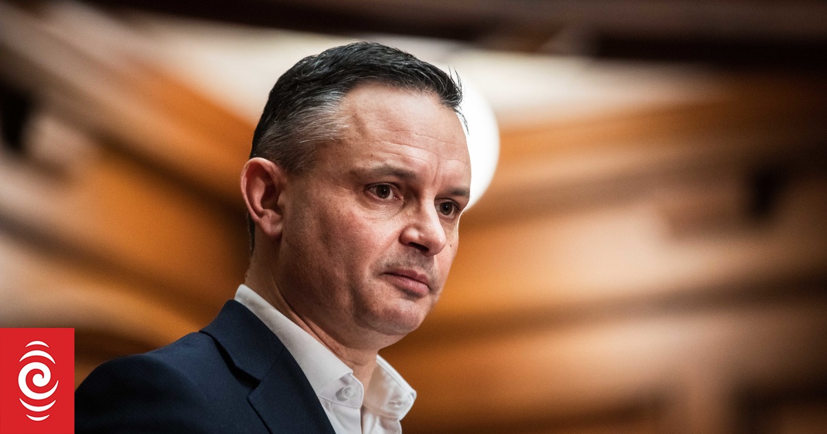 Political commentators Gareth Hughes & Ben Thomas | RNZ