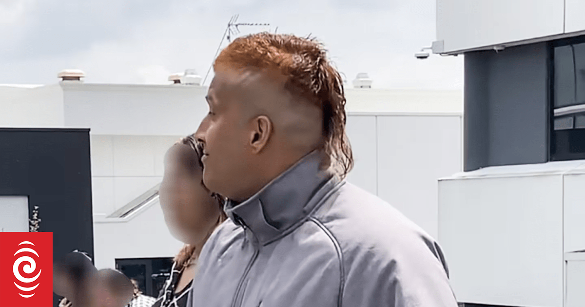 Hamilton man Abdul Javed admits ringing Parliament House and ...