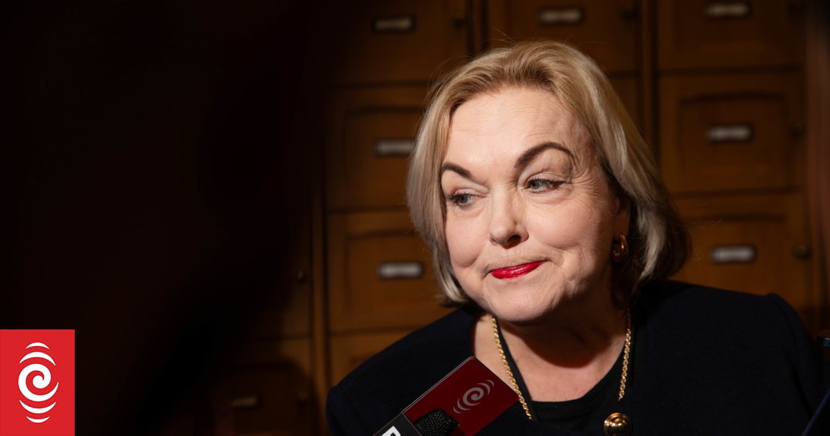 Government turns to tech firms to boost NZDF | RNZ News