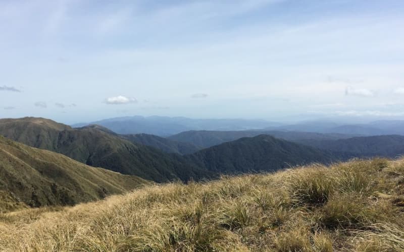 Missing tramper in Tararua Ranges found alive | RNZ