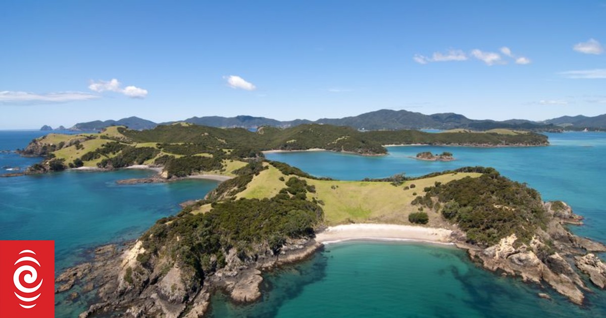 DOC aghast at dogs and cats being taken to pest-free islands | RNZ News