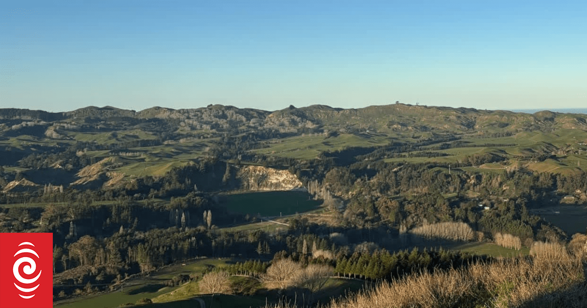 Ex-All Black Sam Whitelock's Hawke's Bay farm tipped to stay in beef ...