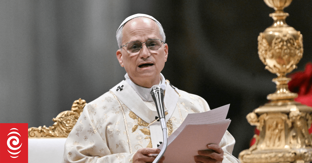 Pope warns against risks of AI algorithms | RNZ News