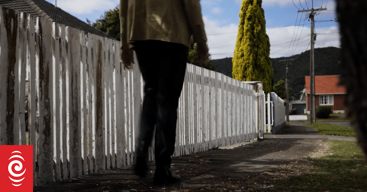 Person comes forward to police after Lower Hutt siblings hospitalised ...