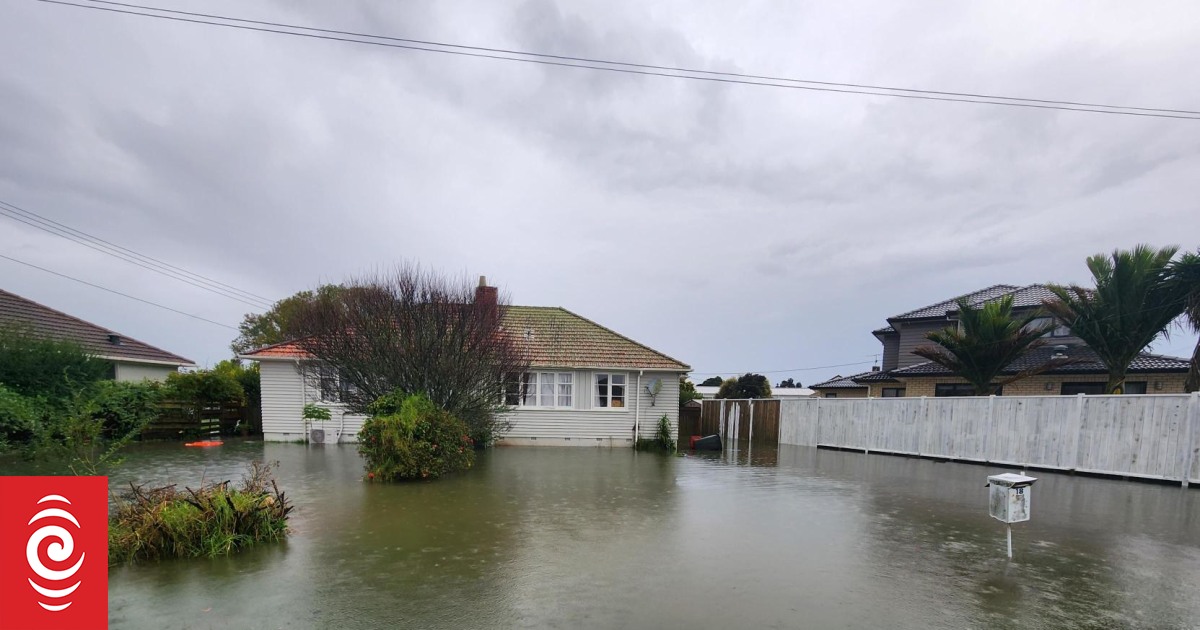 Auckland Council launches tool for residents to check flood risk | RNZ News