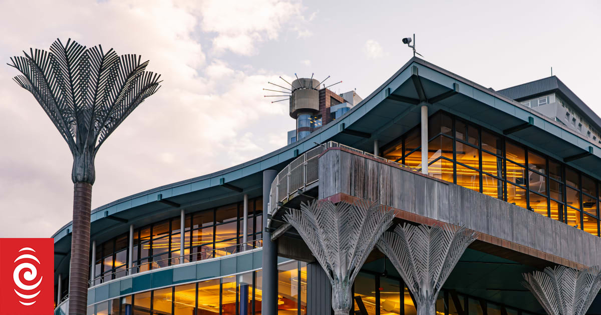 Another critic labels $600k bill for Wellington library website ...