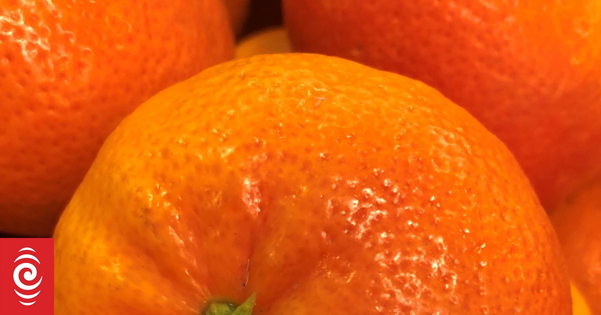 Fruit and Vege Report with Glenn Forsyth | RNZ