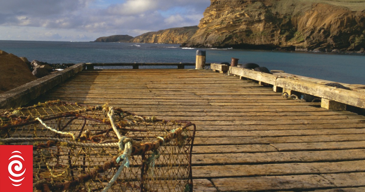 Fatal shark attack 'super rare' says scientist | RNZ News